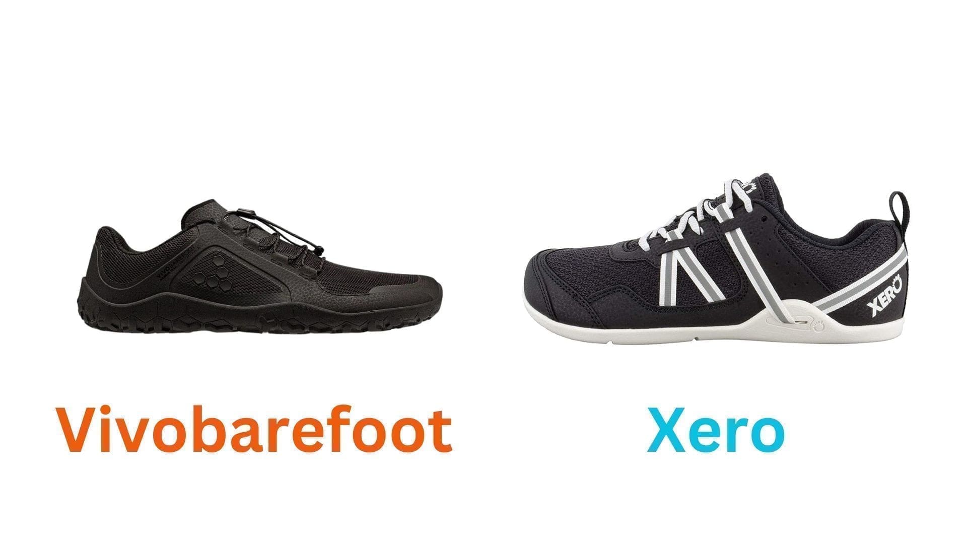 Xero Shoes Vs Vivobarefoot